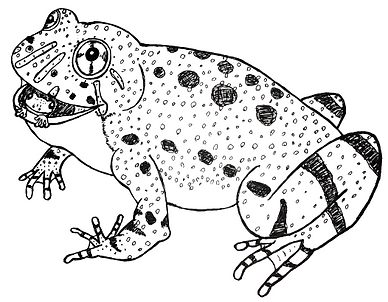 GASTRIC BROODING FROG/PLATYPUS FROG | Extinction Cometh