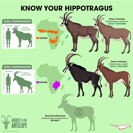 BLUEBUCK | Extinction Cometh