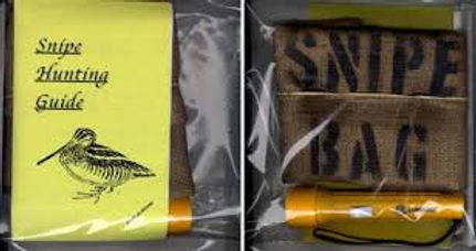 NORTH & SOUTH ISLAND SNIPES | Extinction Cometh