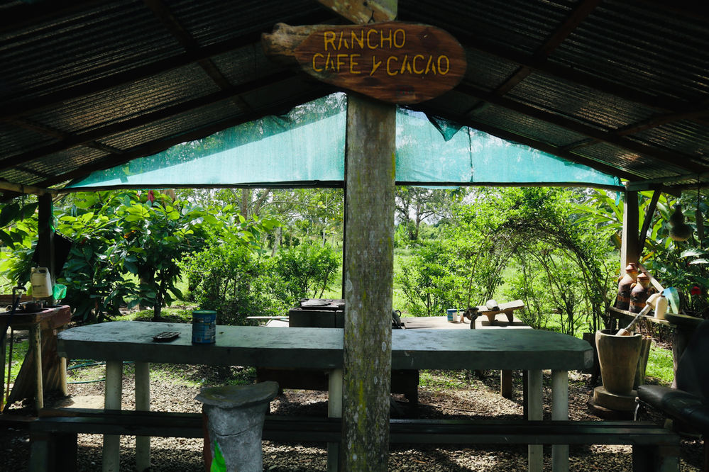 Top 10 Things to Do in La Fortuna, Costa Rica