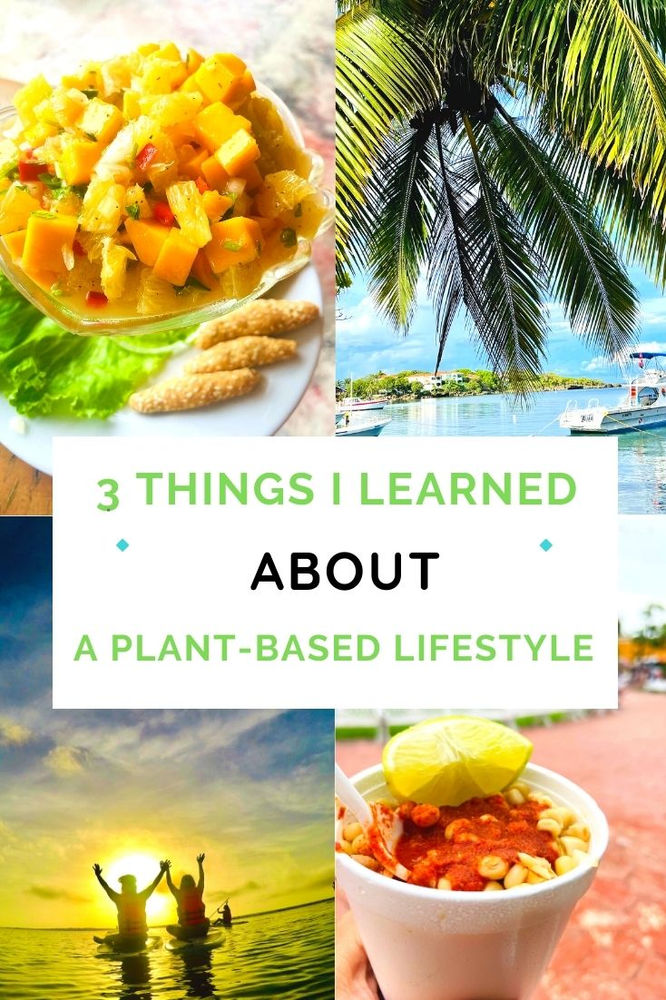 3 Things I Learned About a Plant Based Lifestyle