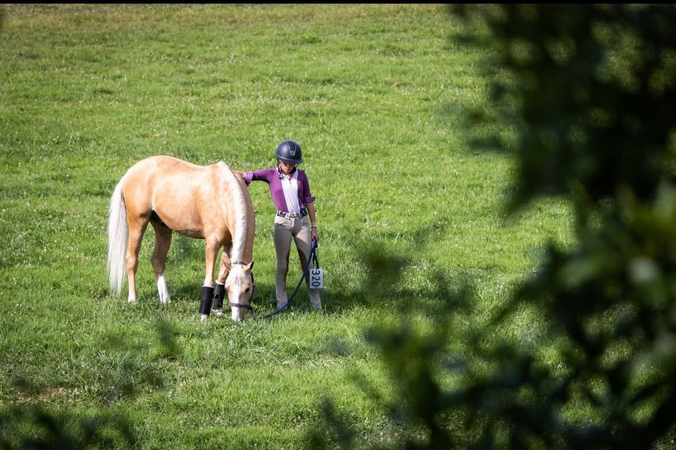 Abby Morris | The Rebel Pony