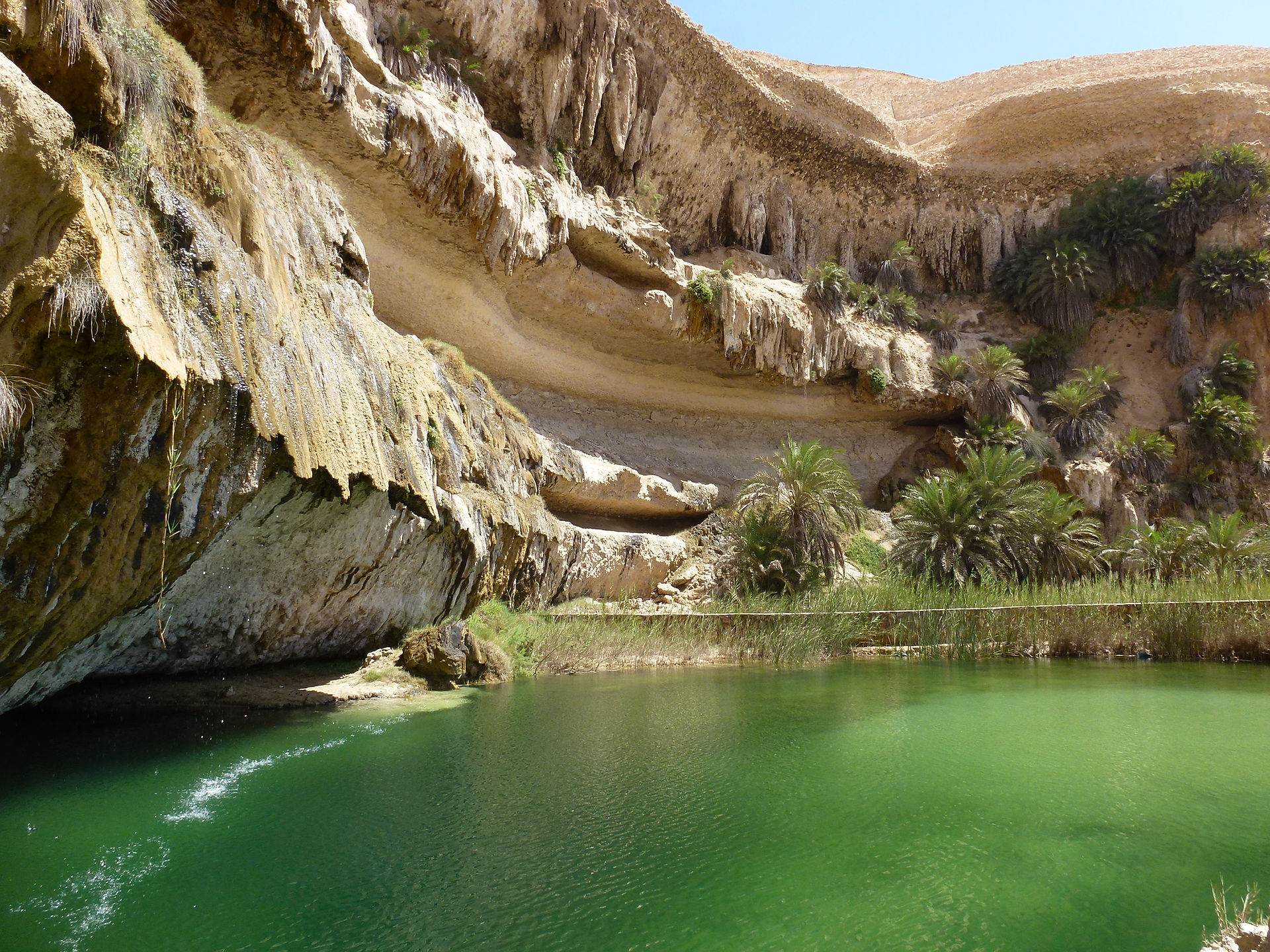 STAFF | muscatchurch