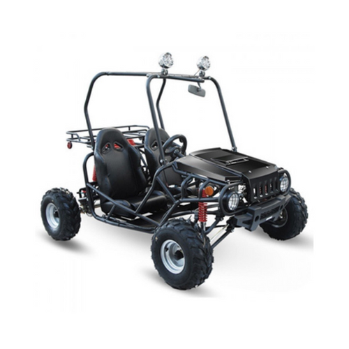 TAOTAO 125 DUNE BUGGY | Outback Power