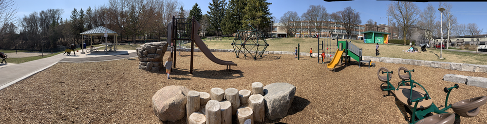 REJUVENATION: Kempton Howard Park