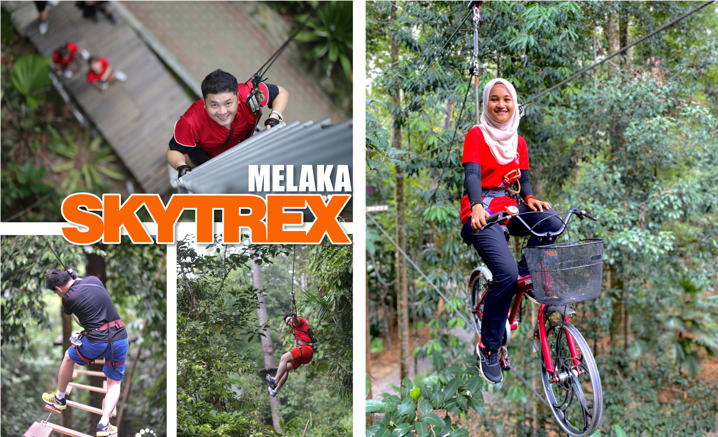 Skytrex Melaka | skytrex-adventure