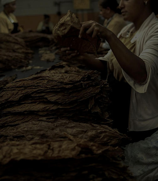 Casa Carrillo | Cigar Factory | Dominican Republic