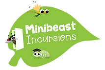 Minibeast Info | Minibeasts Incursions | Melbourne | Labcoat Learning