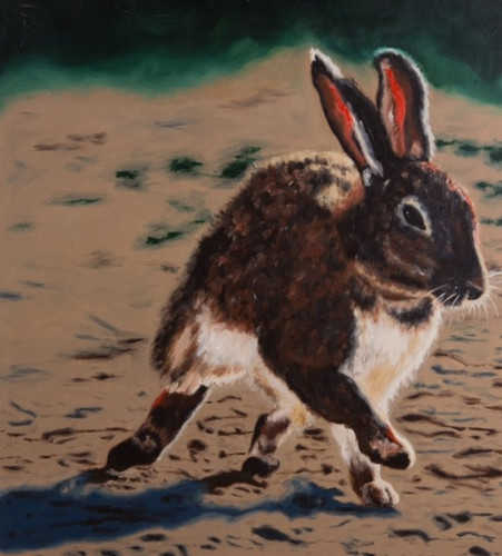 Jackrabbit - Limited Edition Giclée Print on Canvas | mariemaccllumart