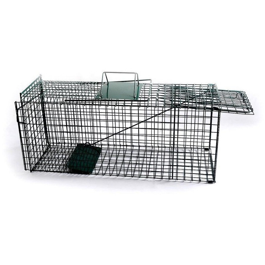 Why possum traps are not needed. Why Possum Exits are the most ...