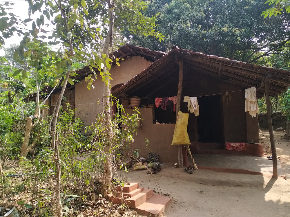 Images of Basudha seed bank, people & landscapes