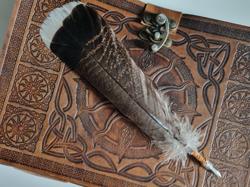 Feather Quill with Calligraphy Nib | Witchcraft Elements