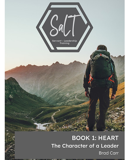 SaLT Course | bradcarr.nz