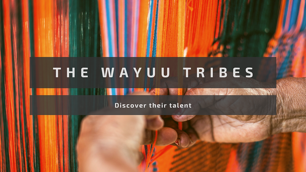 Who Are the Wayuu Tribes?