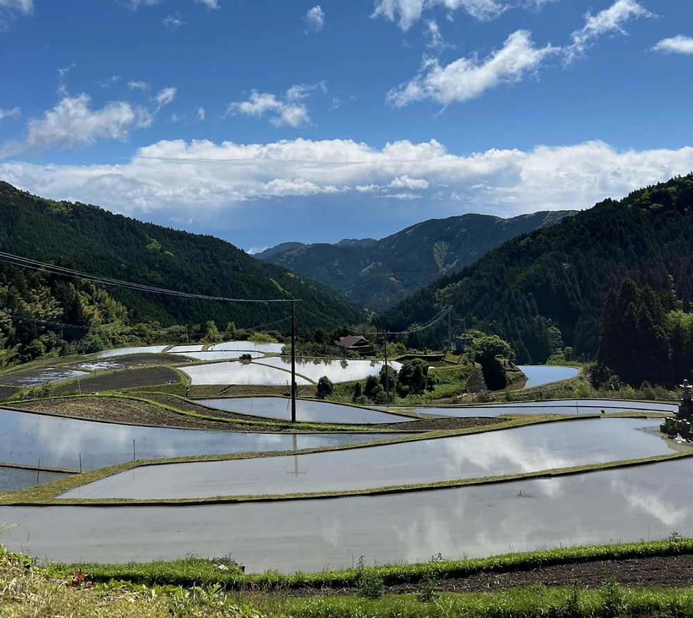 Japan's Zero-Waste Town: The Art of Recycling in Kamikatsu, Tokushima
