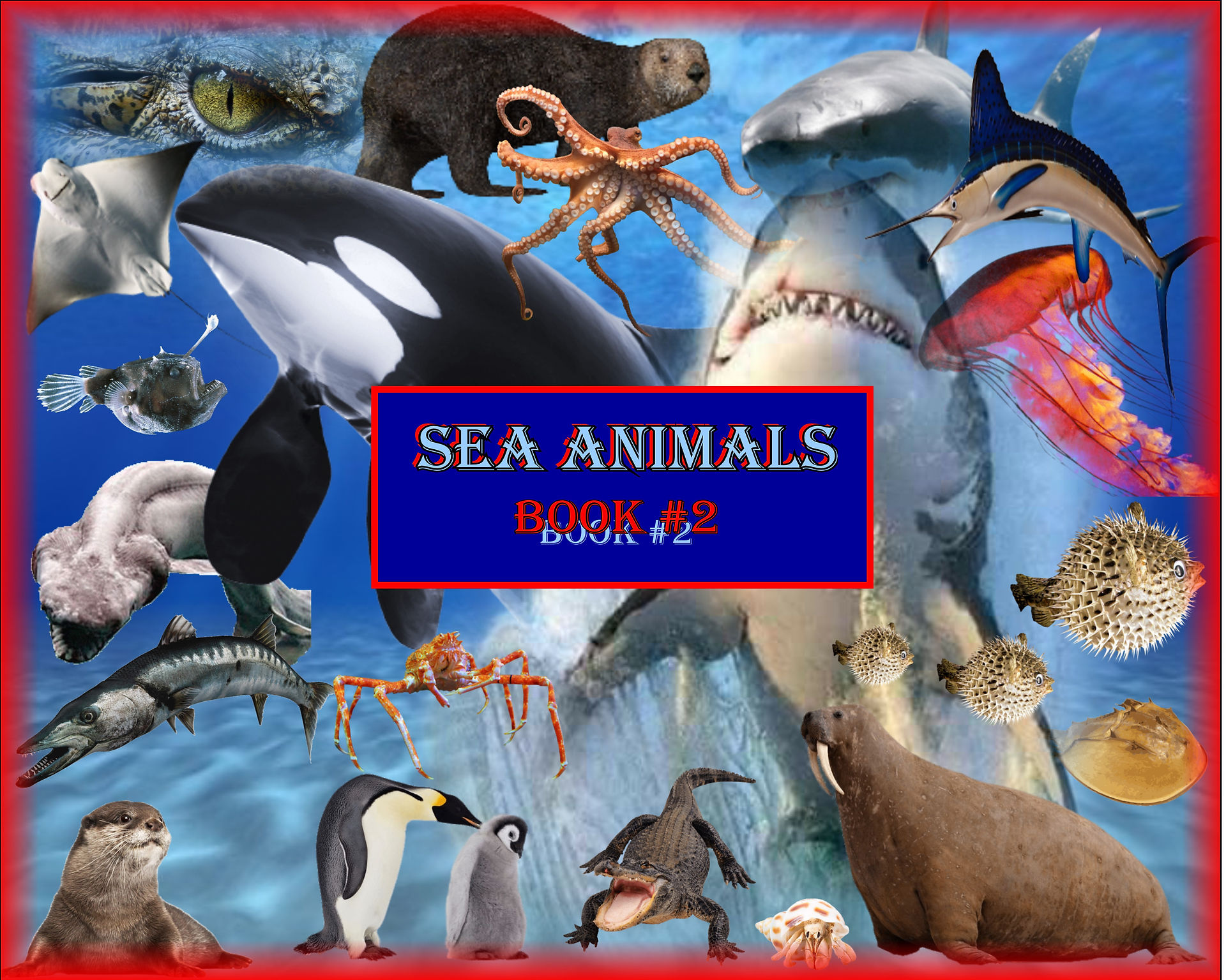 sea animals 2 | Mysite