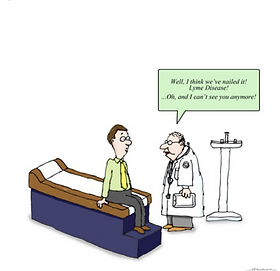 lyme disease puns