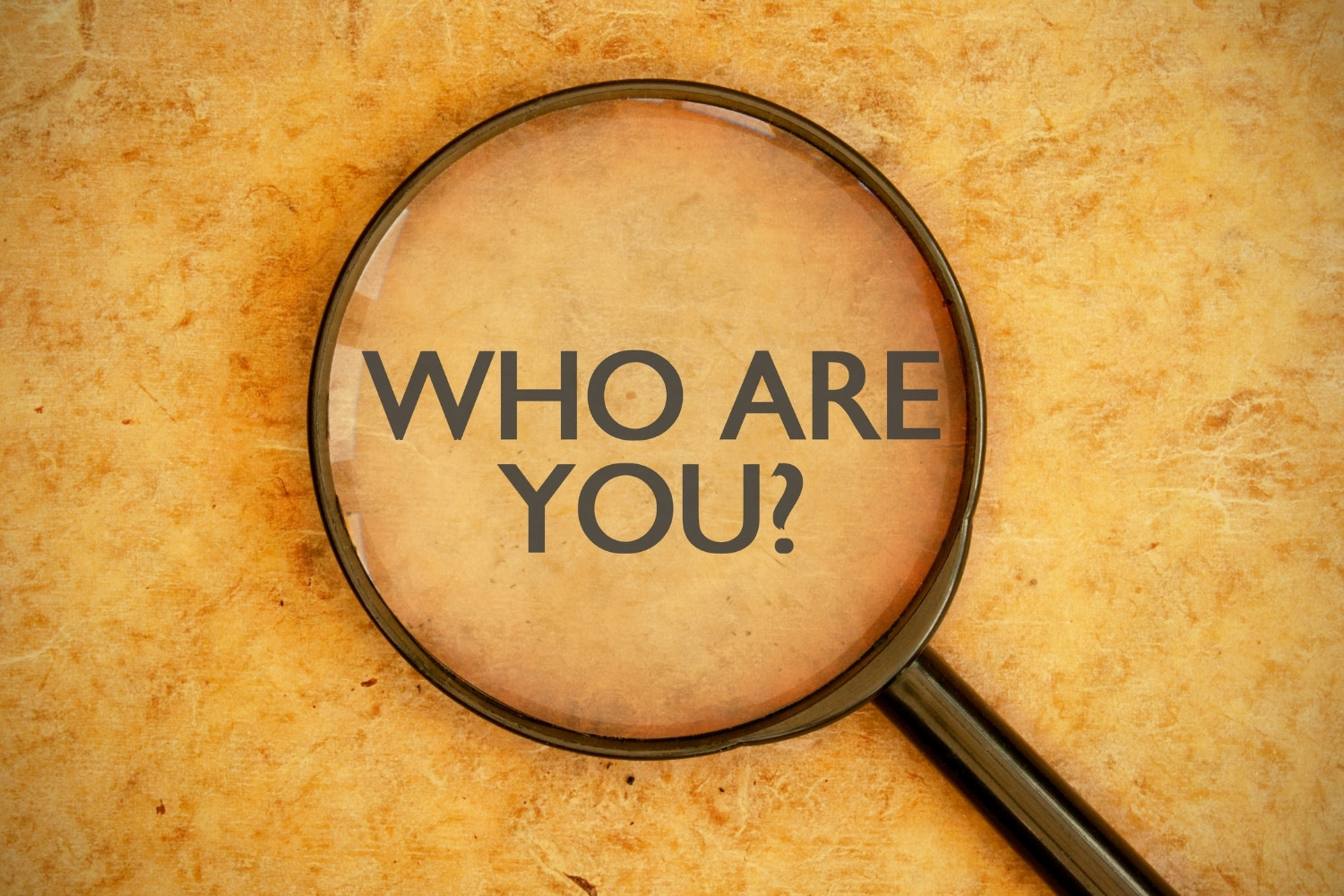 The Most Likely Personality Type to Be a Writer