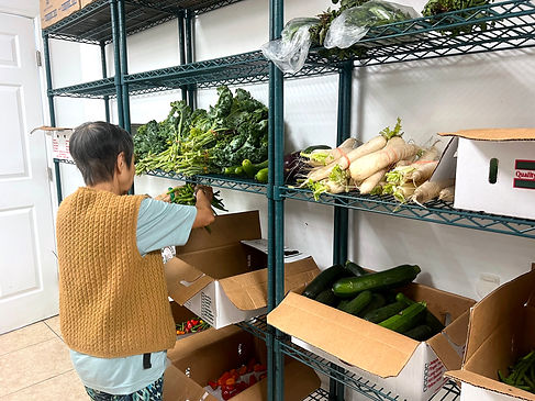 Home | SOS Foundation