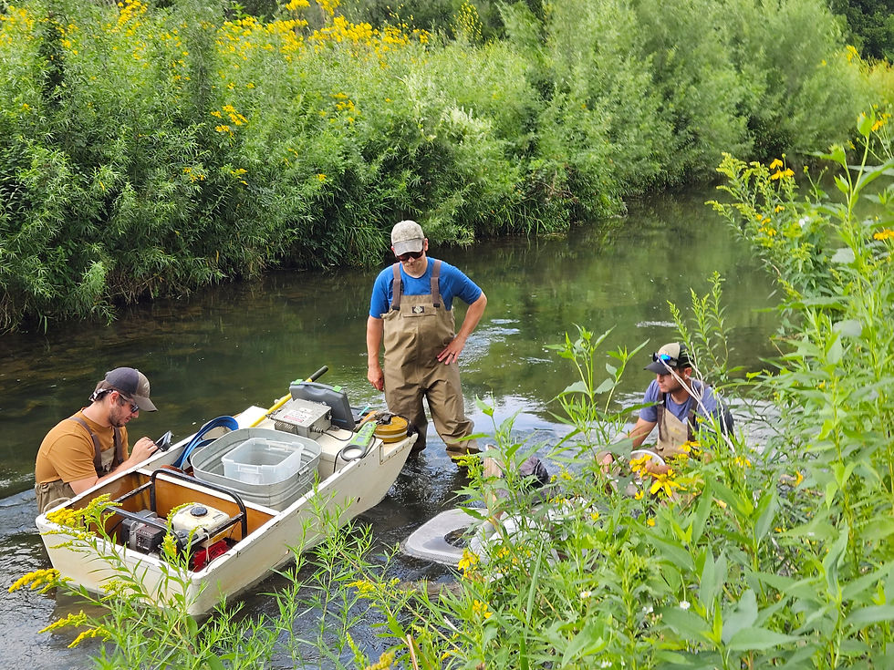 Electrofishing: Understanding one of the most commonly used sampling ...