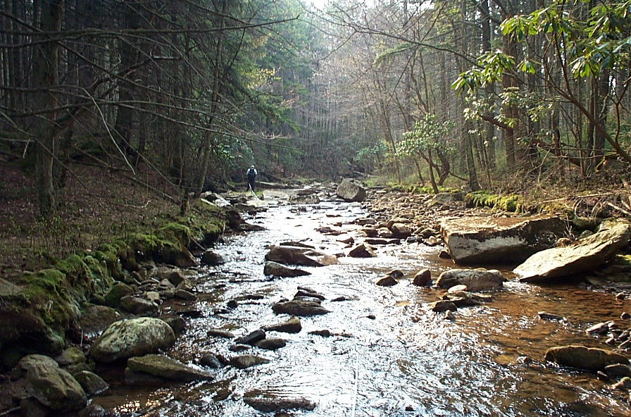 The River Continuum Concept