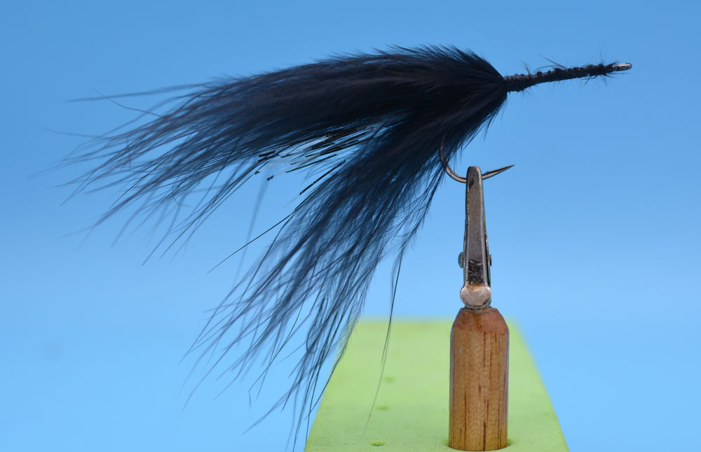 Exploring Fly Tying Materials - Marabou