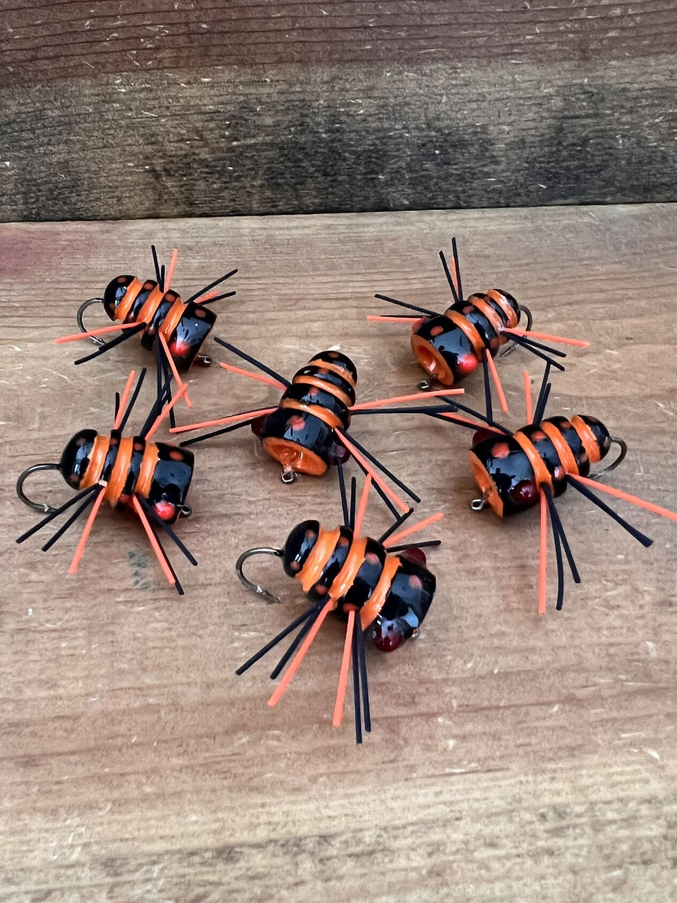 Cicada Hatch 2024: A Guide to Biology, Finding Them, and Fly Patterns ...