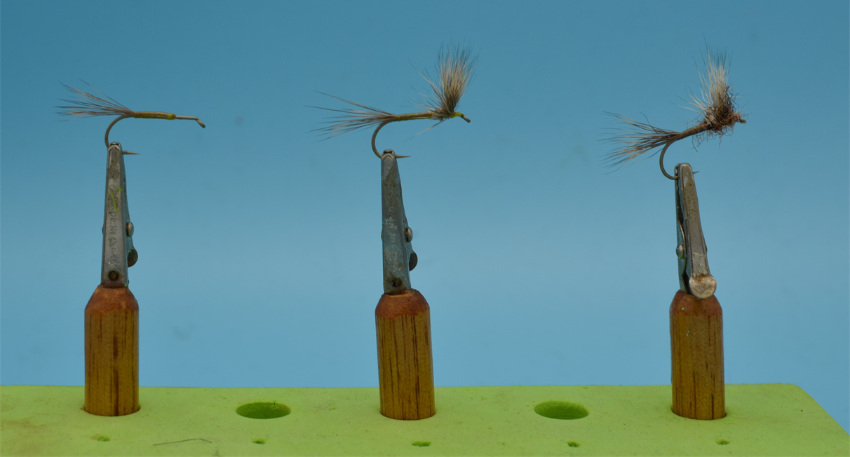 Angling Entomology: Six Hatches for Wisconsin