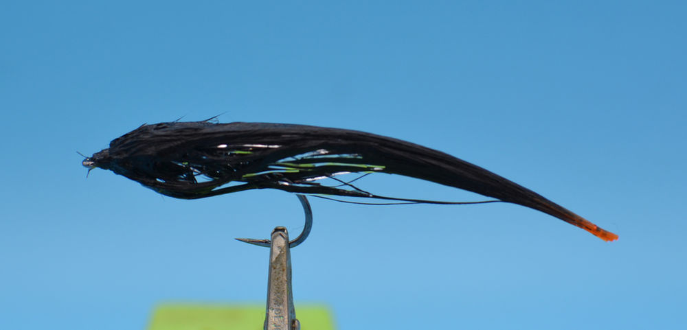 Exploring Fly Tying Materials - Marabou