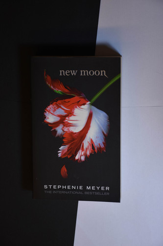 Stephanie Meyer - New Moon | Pebbles In A Shoebox