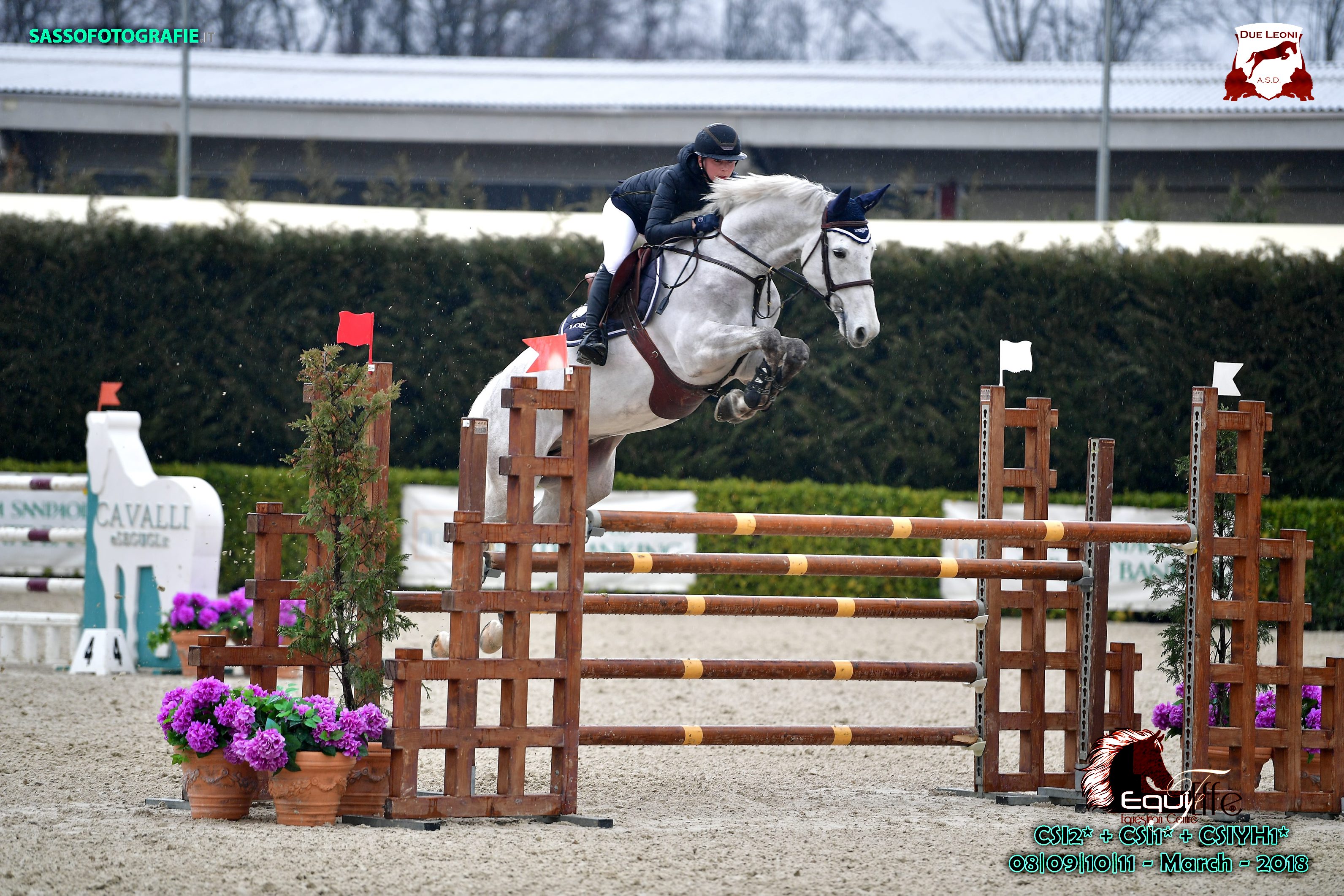 Jane Richard Philips | Official Website