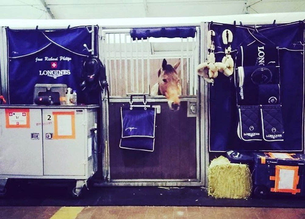 Finally here at the majestic AL SHAQAB Equestrian Centre in Doha