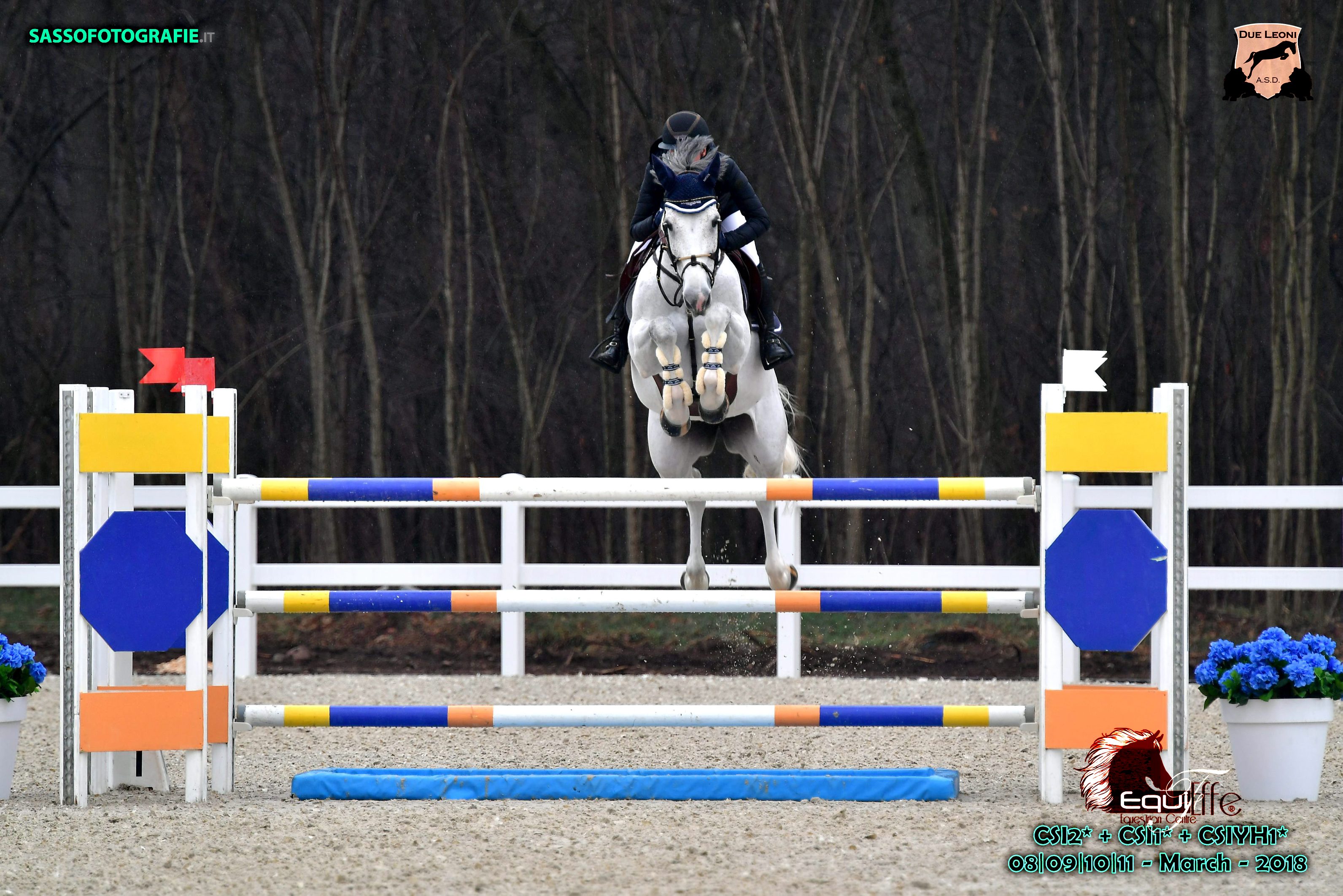 Jane Richard Philips | Official Website