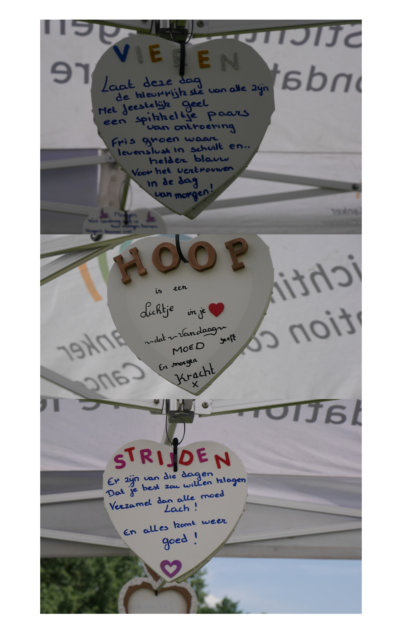 Over Levensloop | levensloopneteland