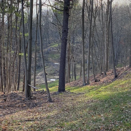 Disc Golf | Houck Design Disc Golf