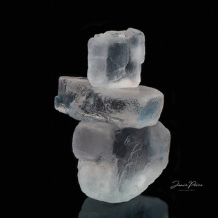 Macro Photography | Jamie Price Photography | Leicester, Leicestershire