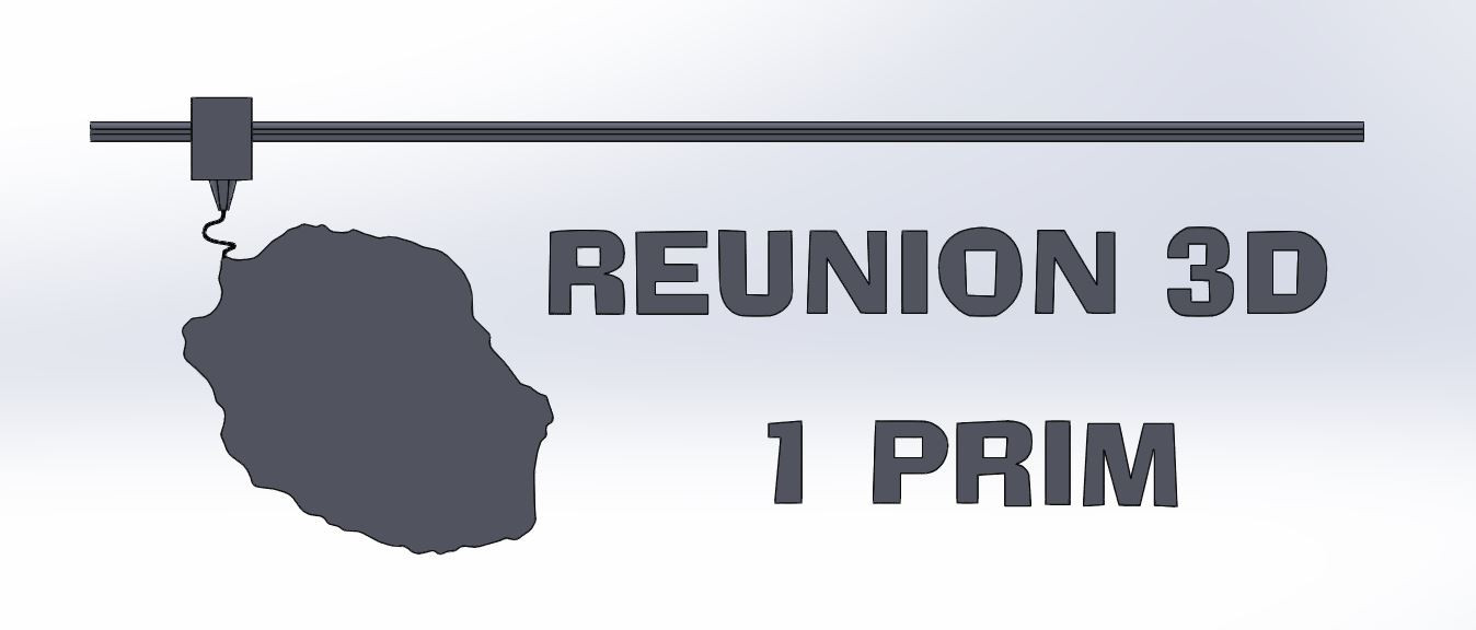 Impression 3D à la Reunion - REUNION 3D 1 PRIM