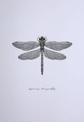 Japanese Dragonfly Print | flourish