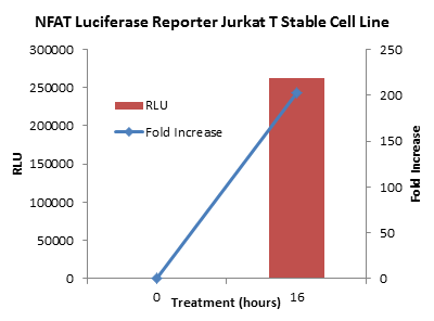 NFAT Luciferase Reporter Jurkat Stable Cell Line SL-0032 | Signosis