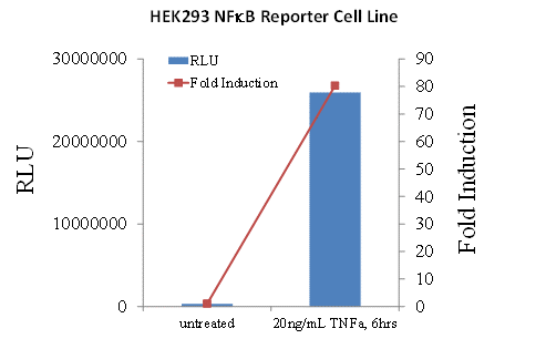 Inflammation/NfkB | Signosis