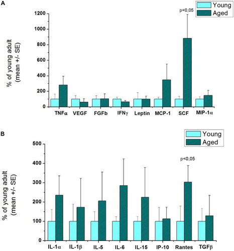 Rat Cytokine ELISA Plate Array (Chemiluminescence) | Signosis