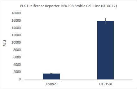 ELK Luciferase Reporter HEK293 Stable Cell Line | Signosis