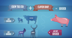 Kosher Food - Explained