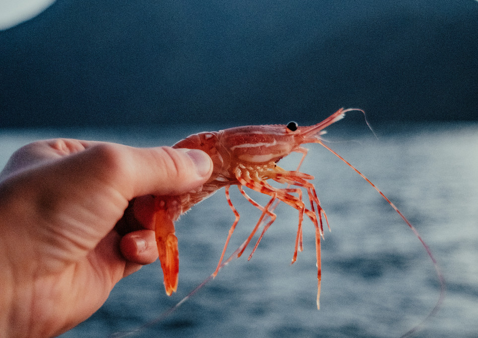 Klahoose Wilderness Resort | Desolation Sound, British Columbia, Canada