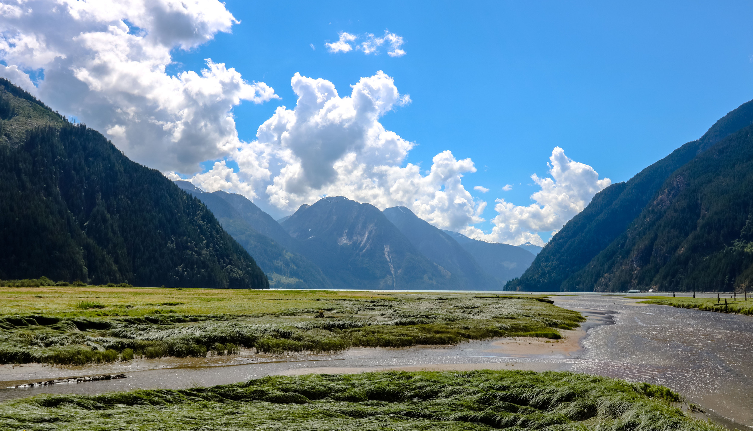 Our Beautiful Toba | Klahoose Coastal Adventures | Bear Tours