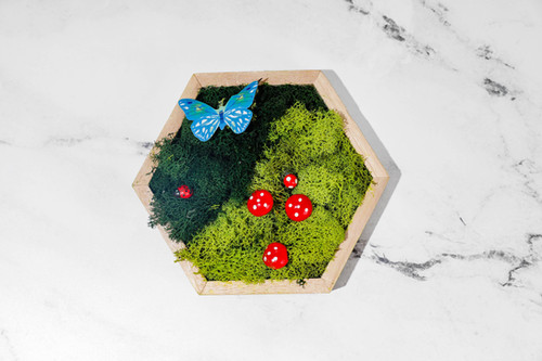 Moss Wall Art Kit | DIY Kits | Kits by Food Craft