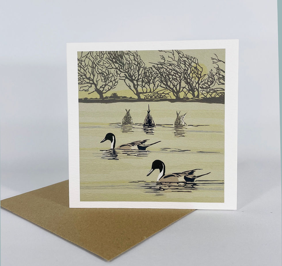 Max Angus | greeting cards