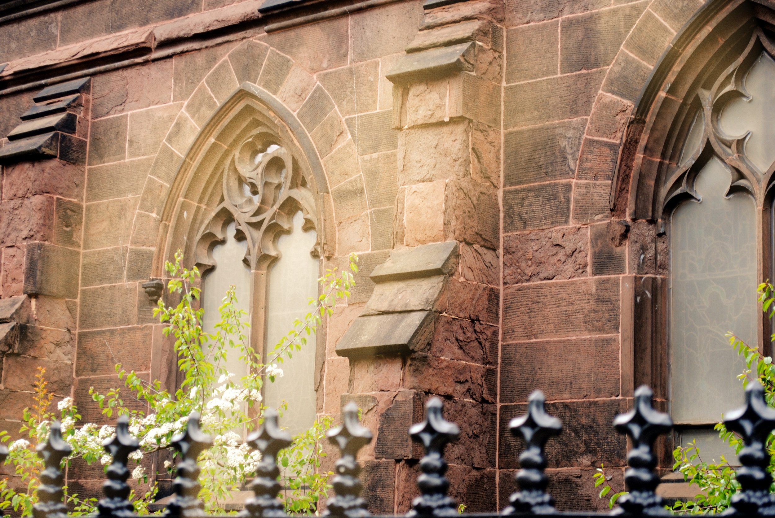 Grace & St. Peter's Church | Vestry