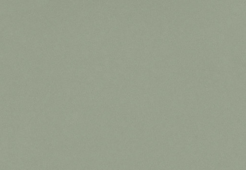 Silestone Posidonia Green Suede (Matt) | Surfaces Market