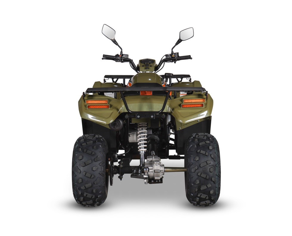 Bull 300 EFI | Kayo USA